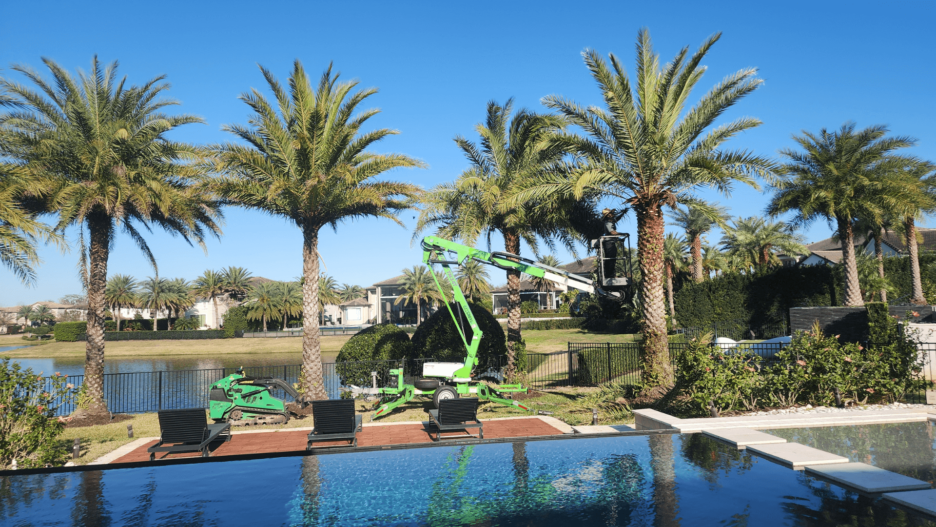 Affordable Tree Service in Orlando, FL | KEYS Tree Trimming